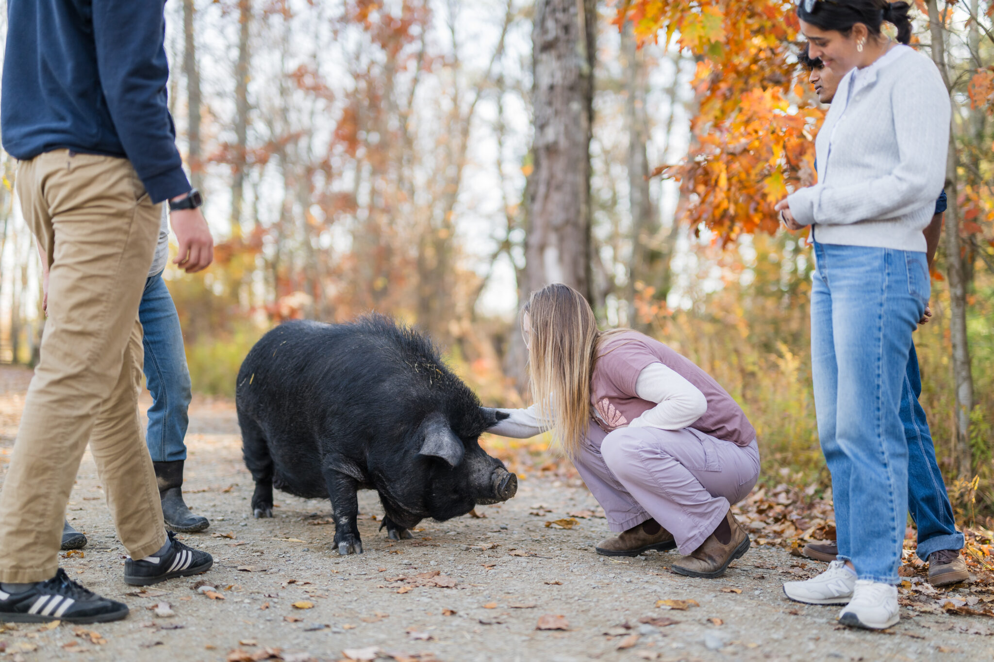 Visit Us – Peace Ridge Sanctuary